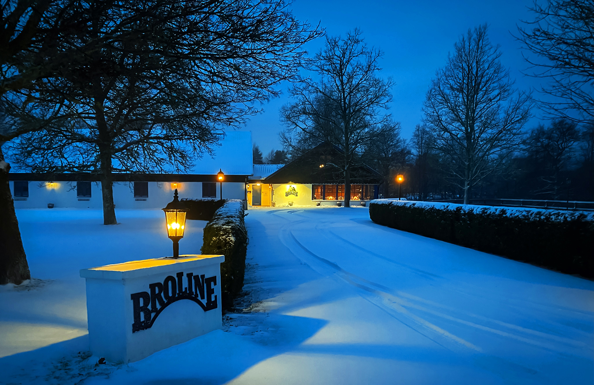 About us - Broline International